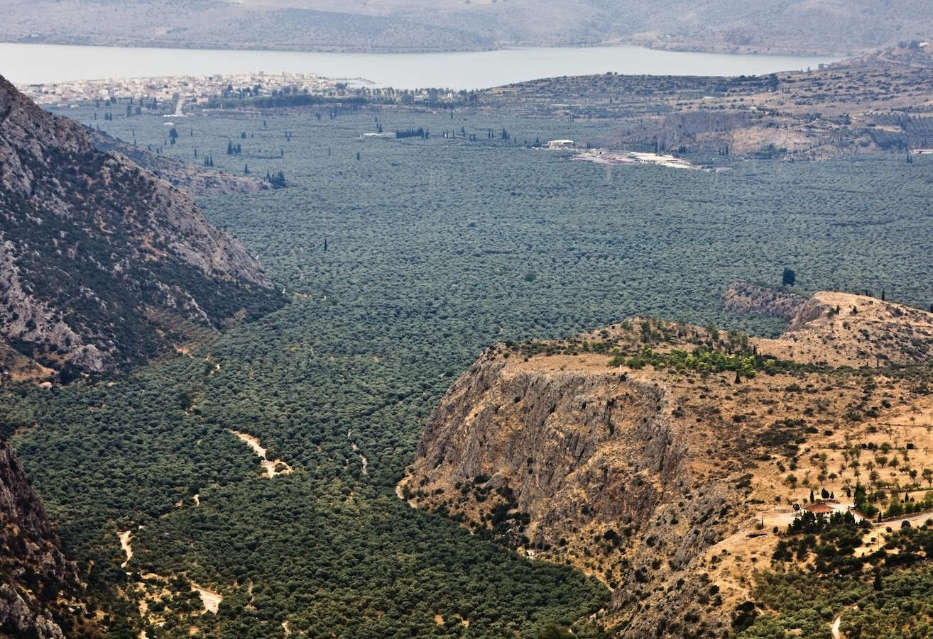 ΕΑΣ ΑΜΦΙΣΣΑΣ | ΑΜΦΙΣΣΑ